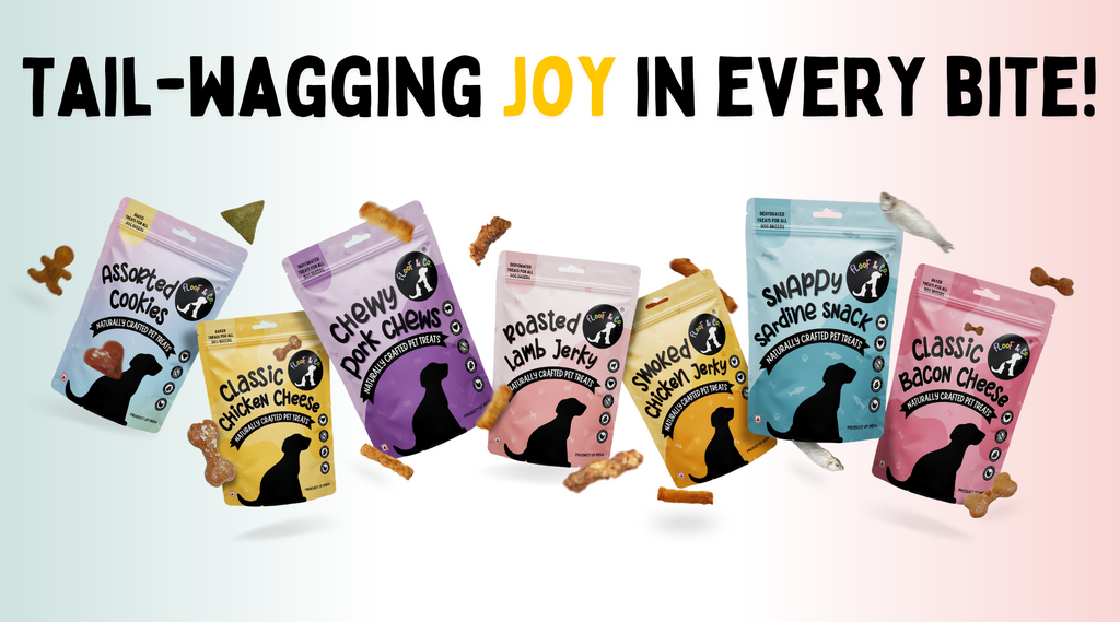 Spoil Your Pooch: Introducing the New Range of Floof & Co Treats