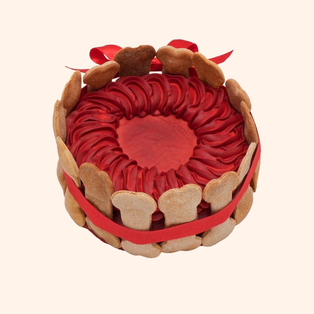 Round-Shaped Dog Cakes in Hyderabad | Dog Birthday Cakes – Floof & Co ...