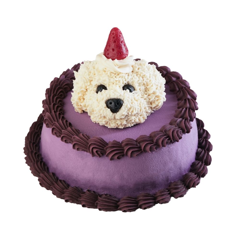 Special Dog Cakes in Hyderabad | Designer Dog Birthday Cakes – Floof ...
