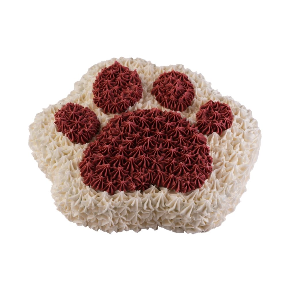 Paw-Shaped Dog Cakes in Hyderabad | Dog Birthday Cakes – Floof & Co ...